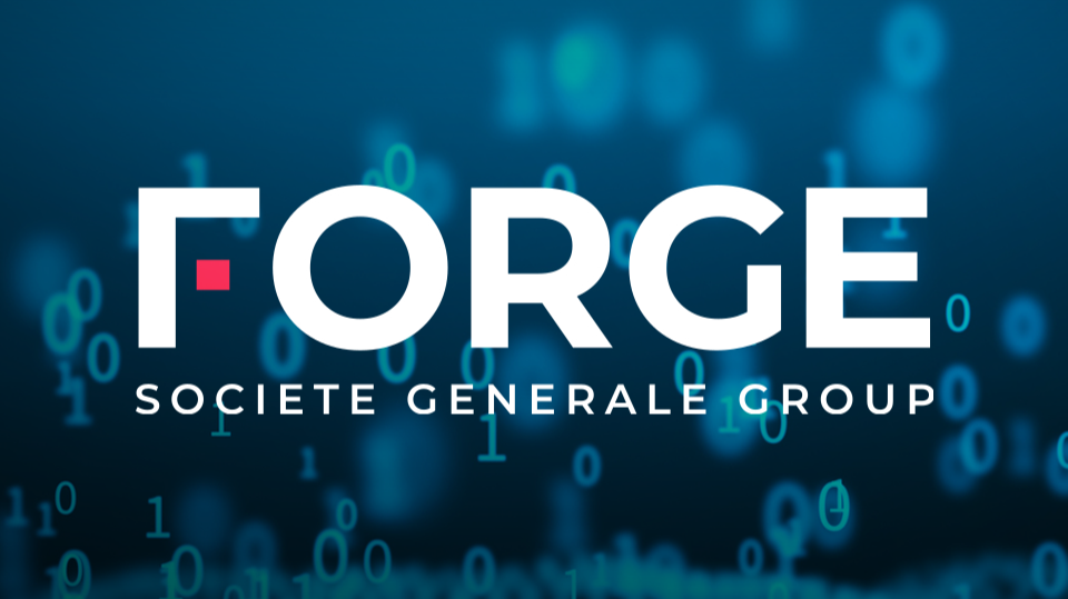 Stablecoin Euro: "The worst code I've ever seen