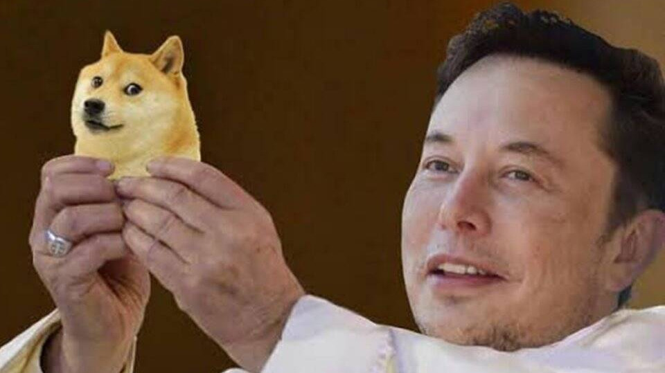Elon Musk + Doge = A partnership that we can trust!