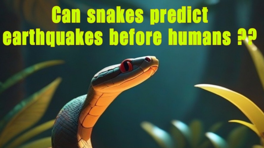 🐍CAN SNAKES SENSE EARTHQUAKES BEFORE HUMANS ??? 🌎 THE TRUTH ABOUT ...