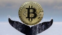 Several Bitcoin Whale Wallets Are Active Again After Years of Dormancy