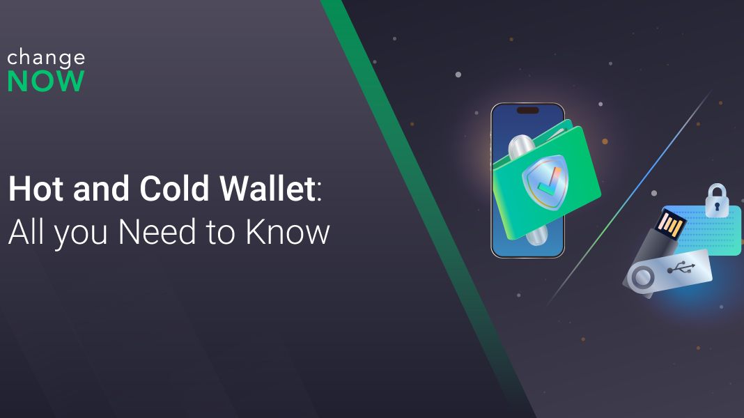 Cold Wallet vs Hot Wallet Explained