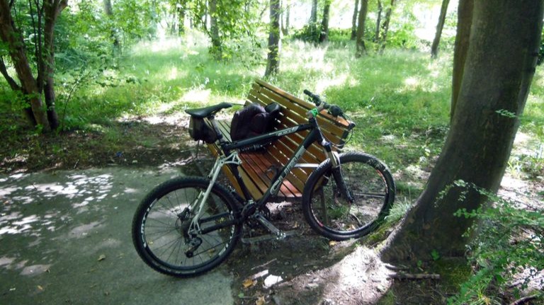 A day of lazing, it turned out and sometimes it has to - My Actifit ...