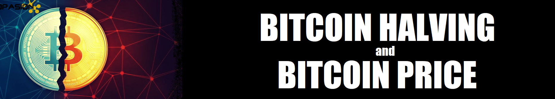 Bitcoin Halving vs Bitcoin Price