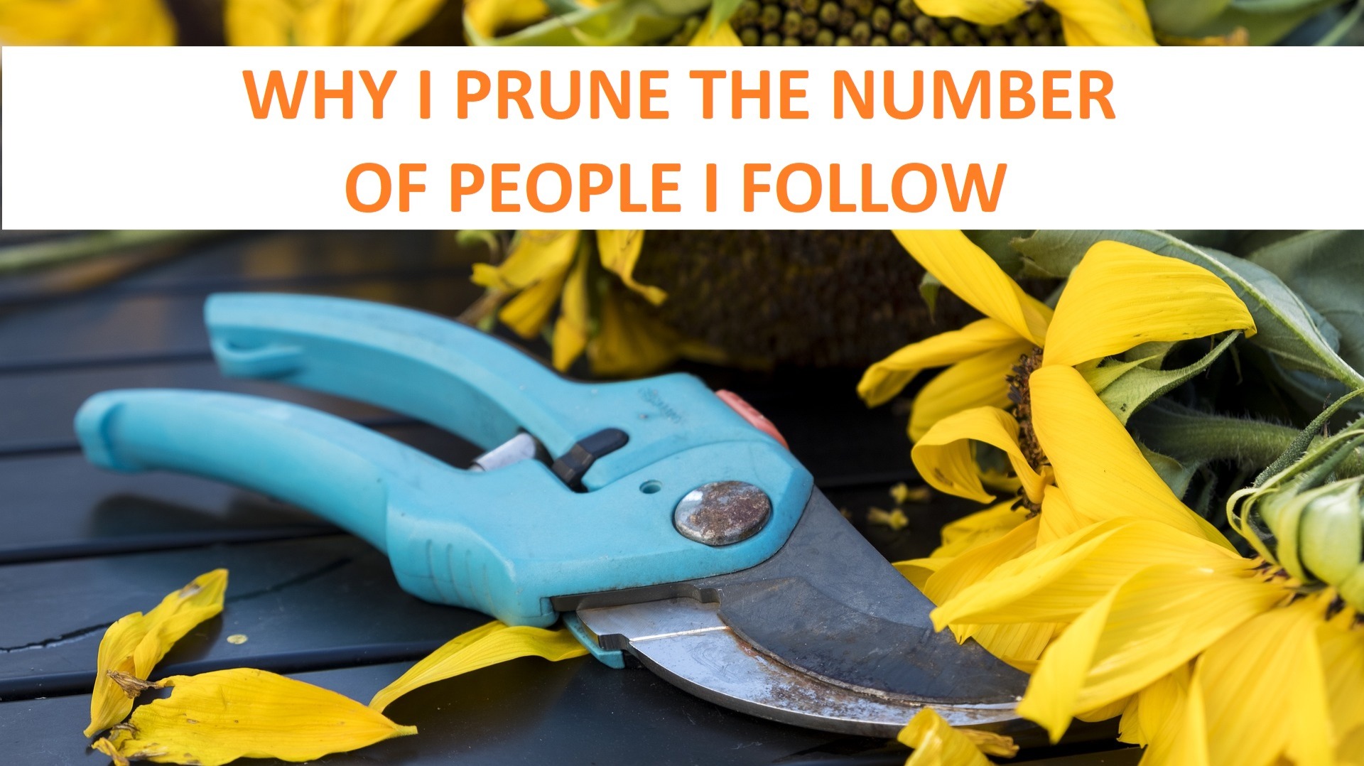 Why I pruned the number of people I follow on Publish0x