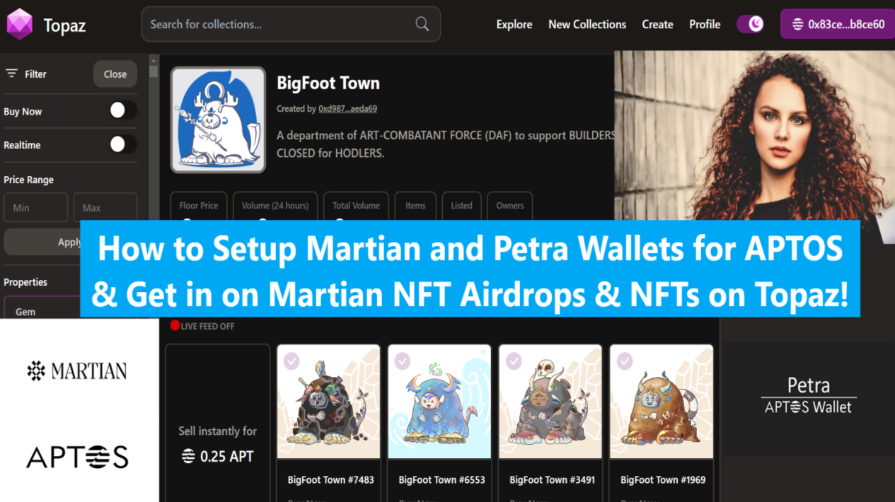 How to Purchase NFT on APTOS Chain with Martian and Petra Wallets on ...