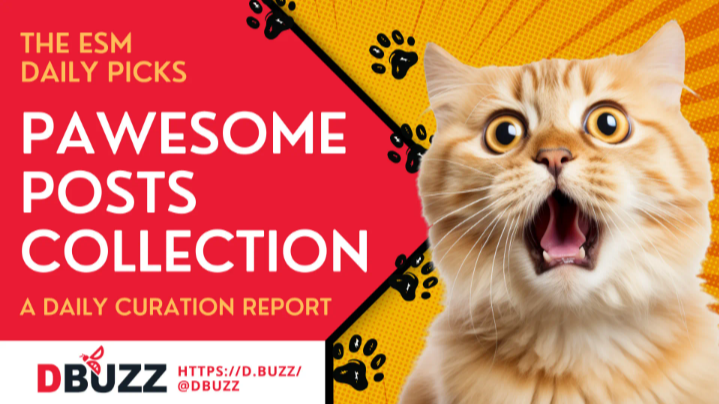 D.Buzz Pawesome Content Compilation