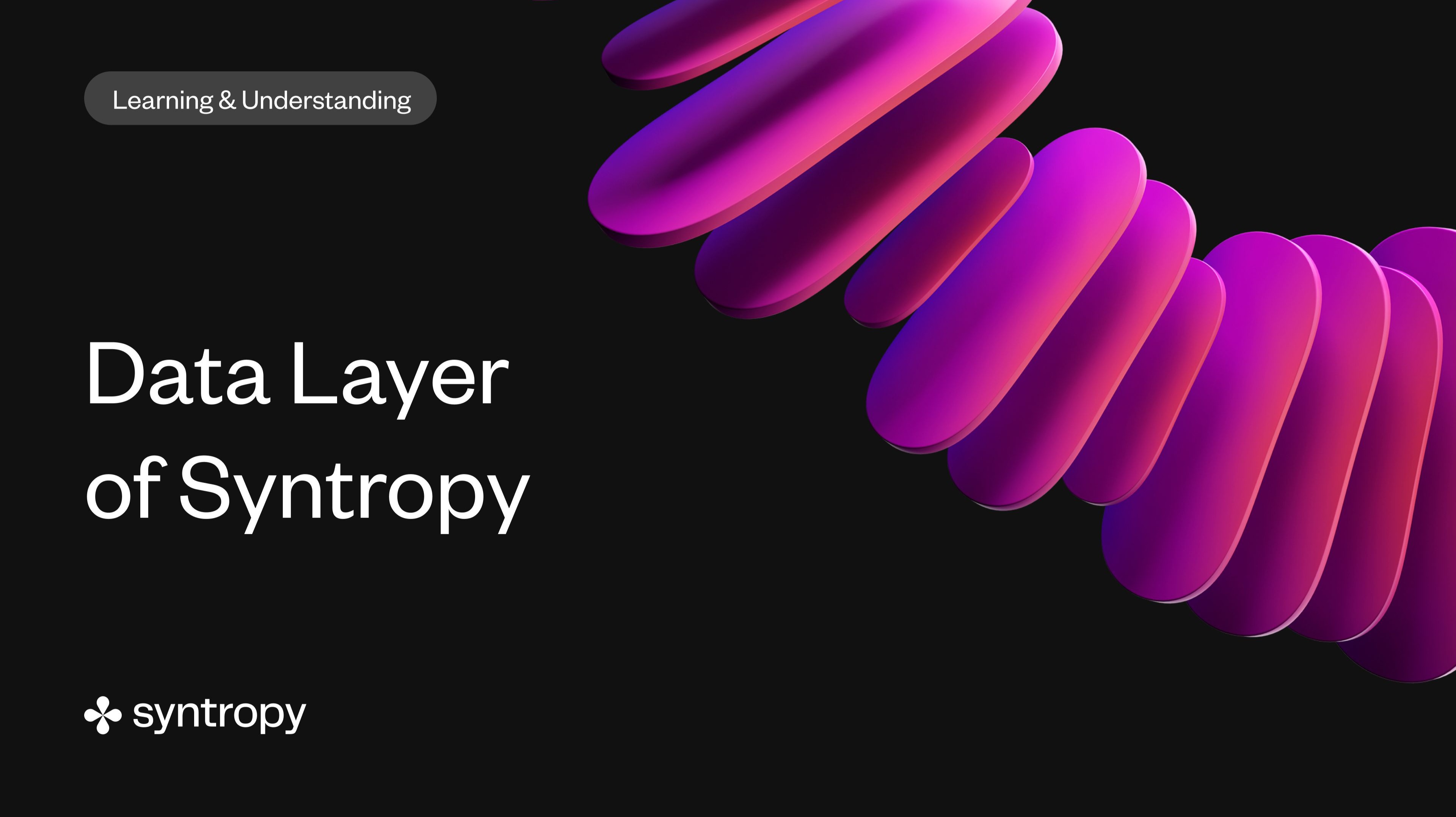 Syntropy Data Layer: Summary