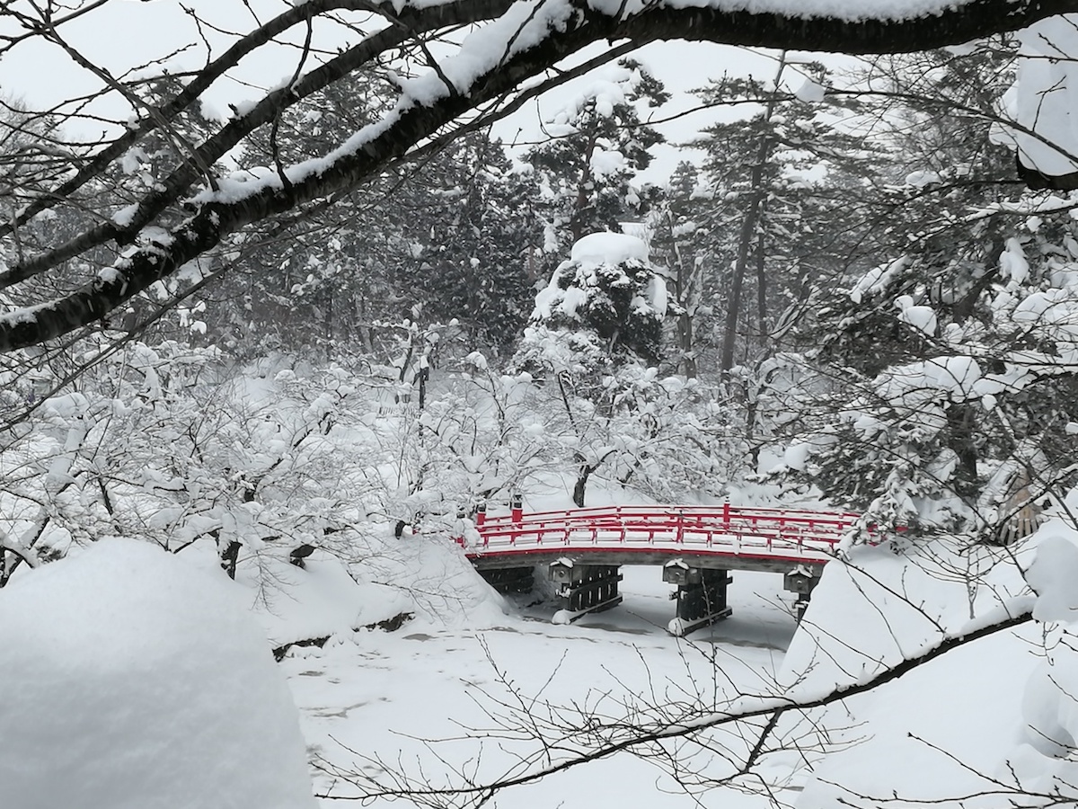 Japan's beautiful winter festivals - a tale of ice, snow and colour