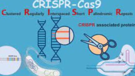 What is CRISPR? And why it should matter to you!
