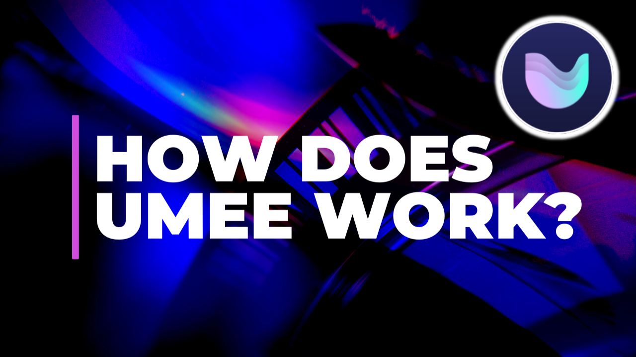 How Does Umee Work?