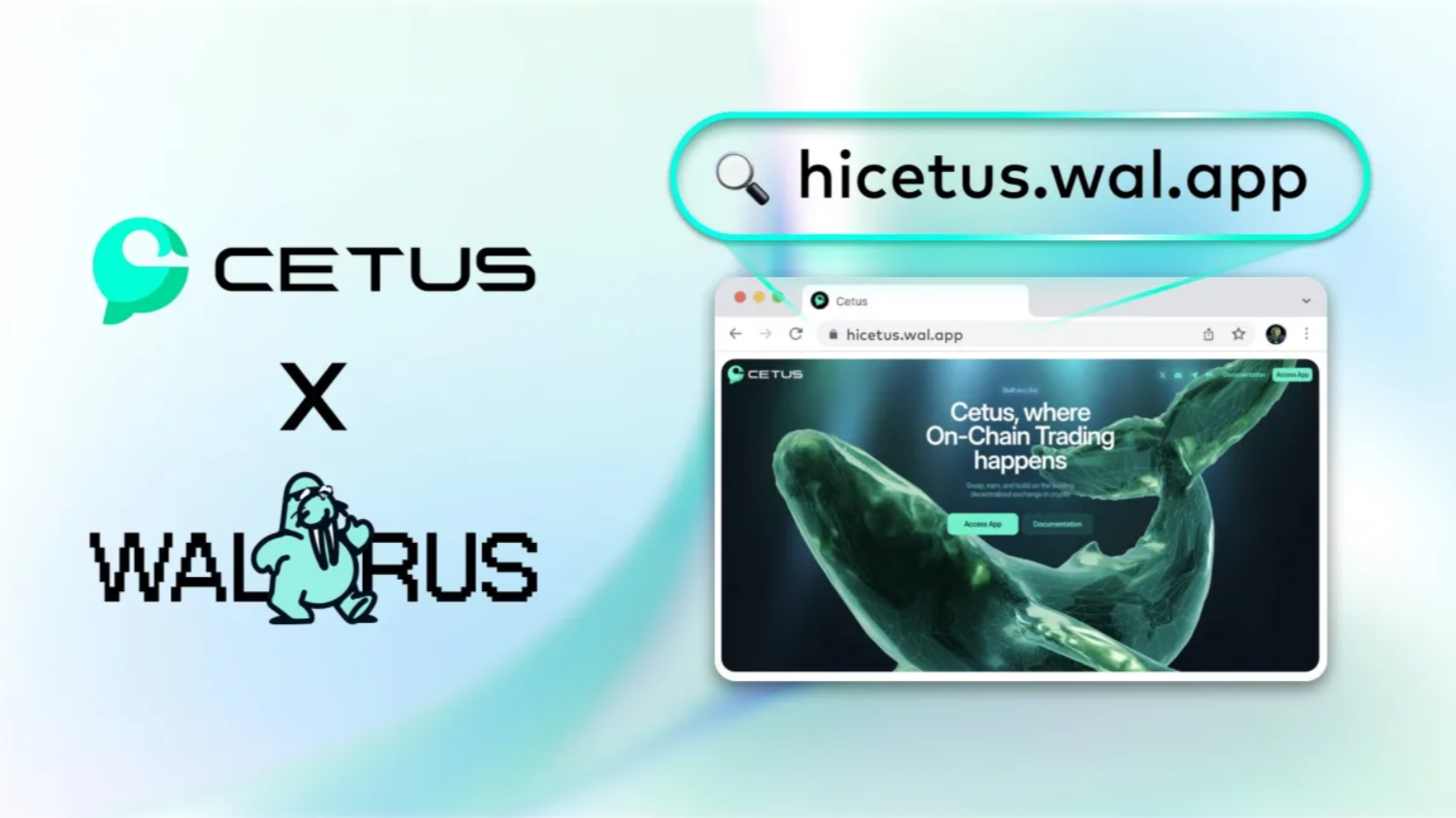 Cetus, the largest DEX on SUI, is now on Walrus a decentralized storage ...
