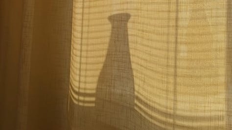 The steam curtain