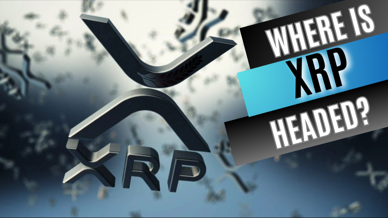 "XRP’s Future: Ecosystem Revolution"