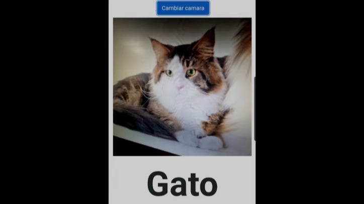 Canal de Youtube recomendado: Ringa Tech