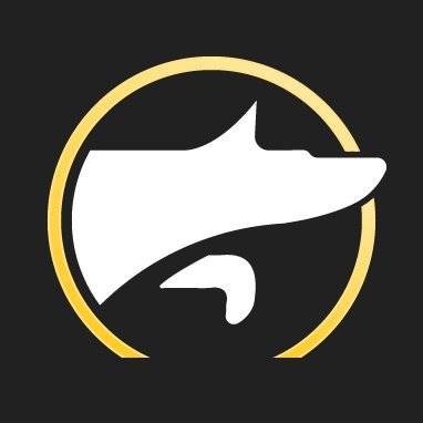 Token Sniffer: Let's sniff Dogecoin today!