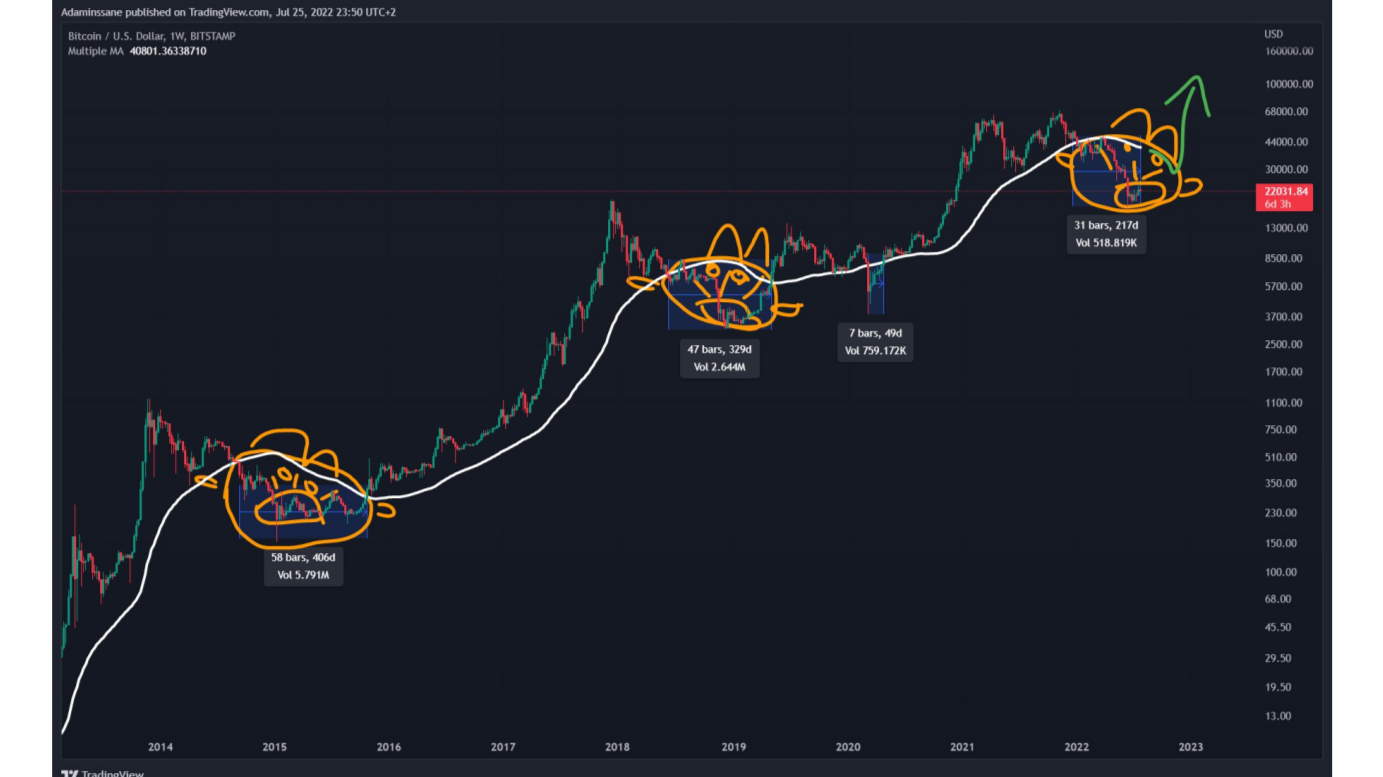 BTC: The head of the bad Bear market" 😳 🙃