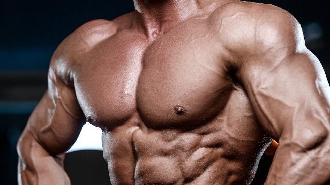 Chest Workouts: Building a broader and powerful Chest
