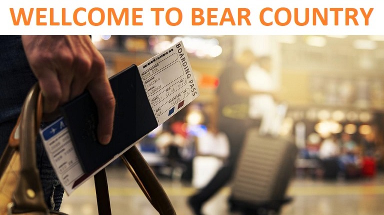 What to do in Bear Country, aka during a Bear Run or Bear Market