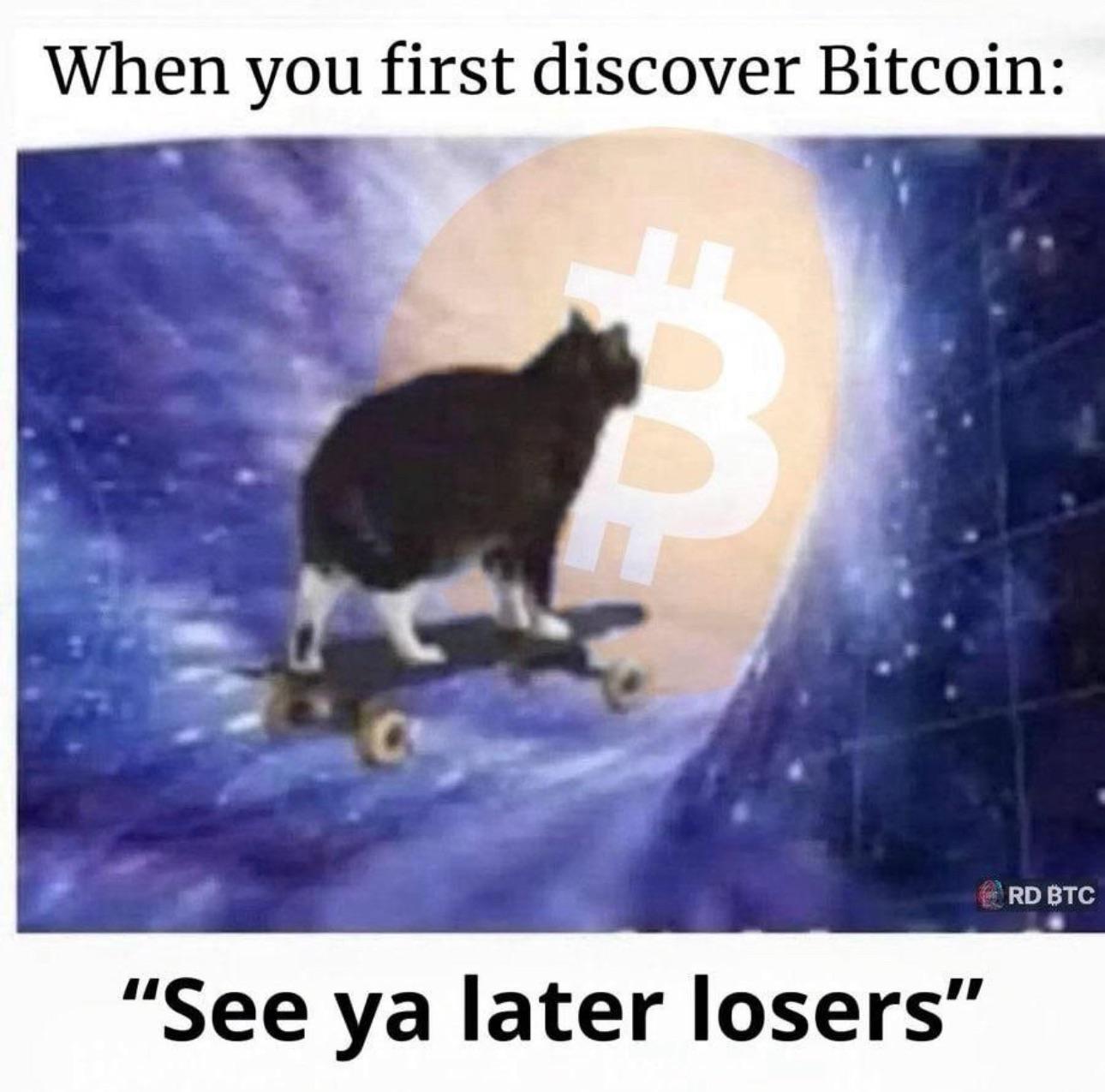 A Dose of Bitcoin Memes: 1/2/26