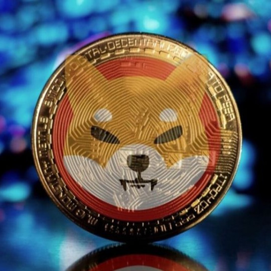 Shiba Inu Token | Publish0x