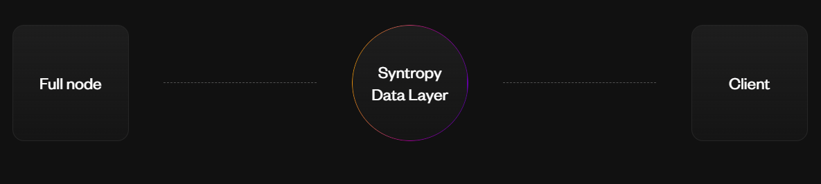 Syntropy, The Data Layer for Web3 - Part I