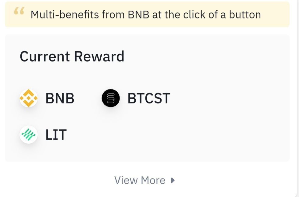 Passive income with BNB Vault in Binance