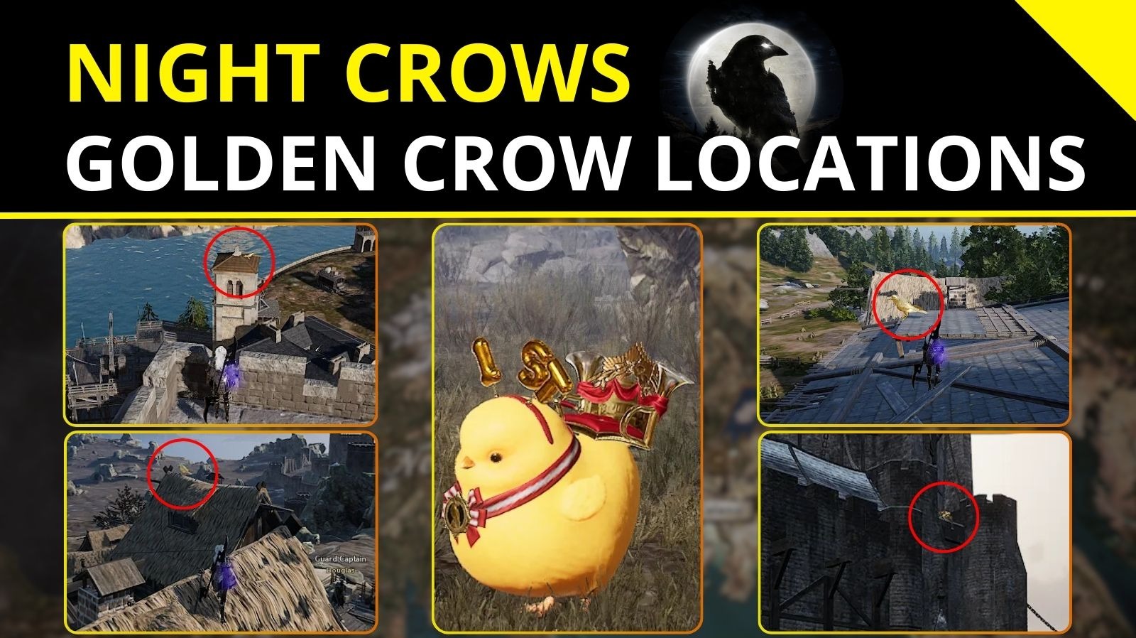 Night Crows 🌒| Location of the Golden Crows & Anniversary Rewards!