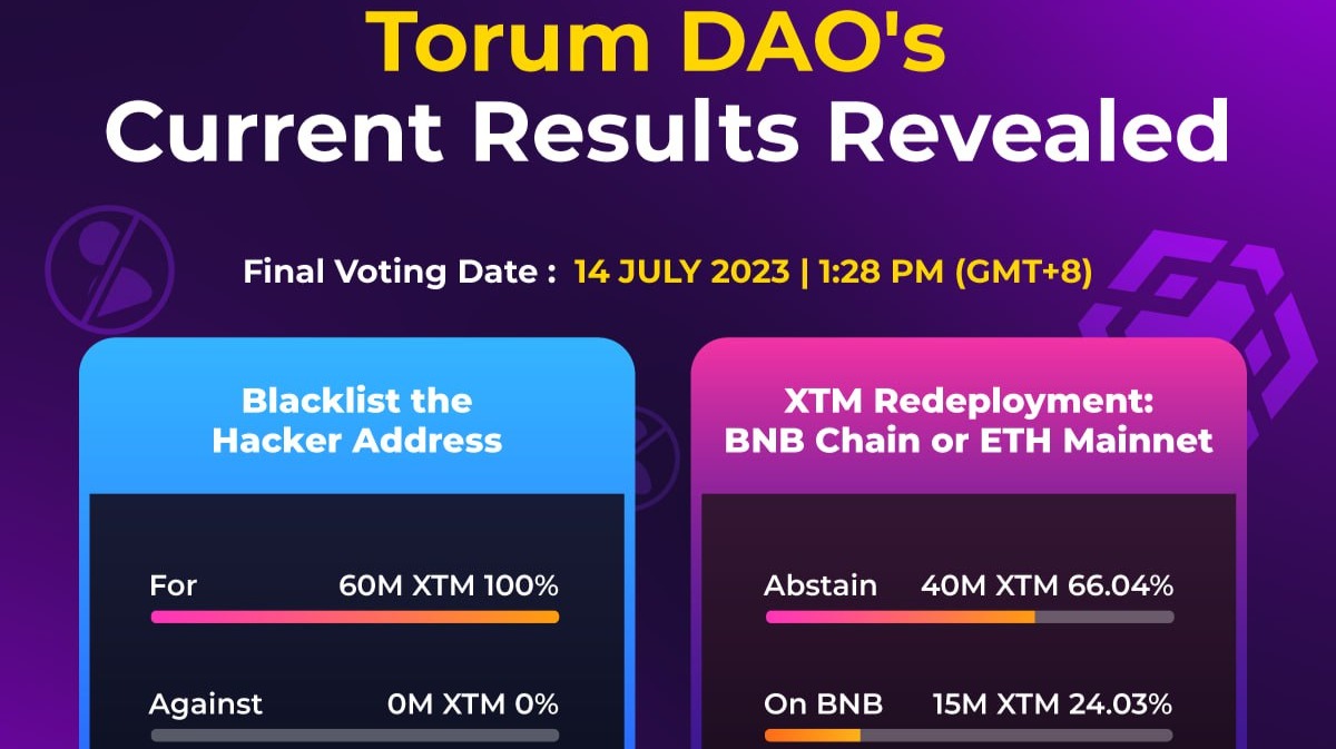 Torum DAO's Creation: Current Results
