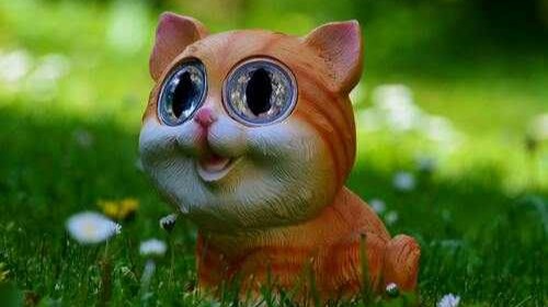 MDMA cat depression therapy kit