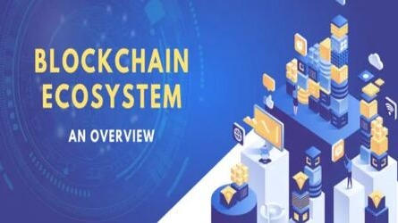 Top 3 Crypto Ecosystem 2024 Next Bull Run