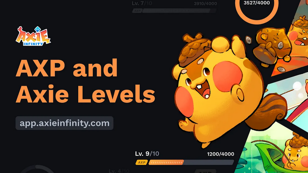 Axie gets Experience Points!