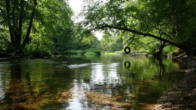 Wednesday Walk - Summer Walk on the Flat River
