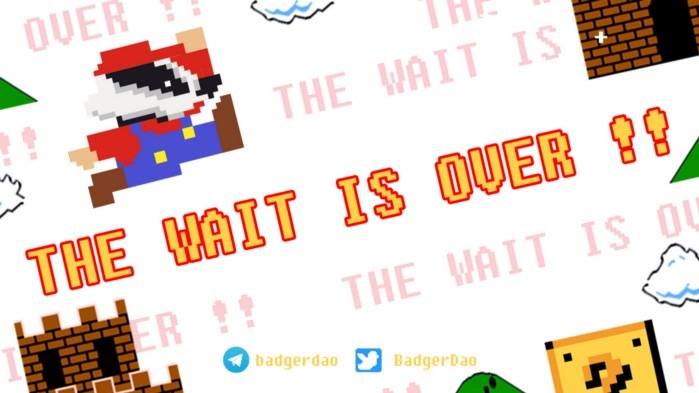 You may be eligible for $BADGER governance token