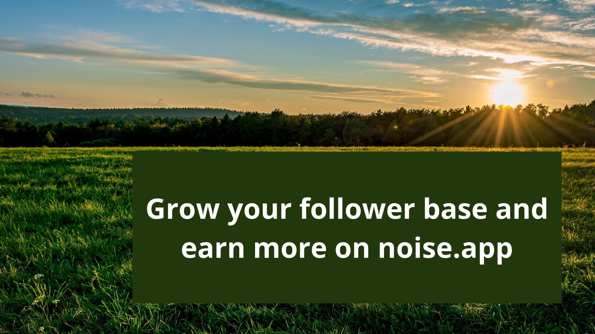 Grow your follower base and earn more on noise.app