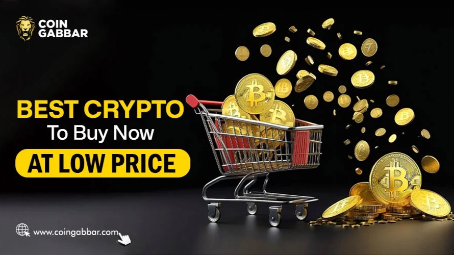 Best Crypto To Buy Now in Low Price for 1000X Profit Gains