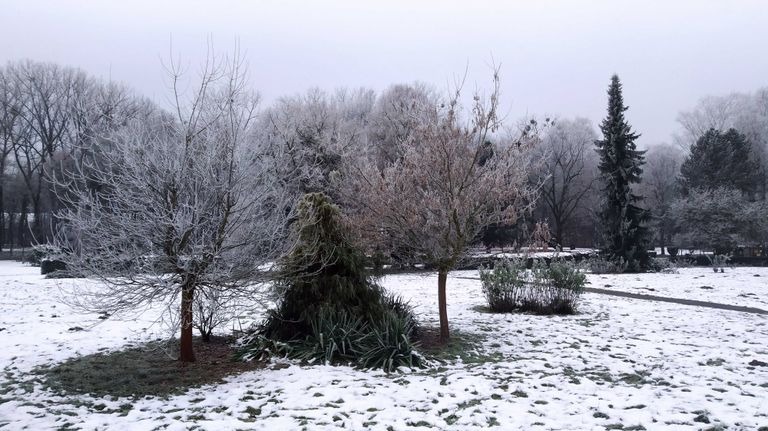A frosty and gloomy Friday - My Actifit Report Card: November 28, 2025
