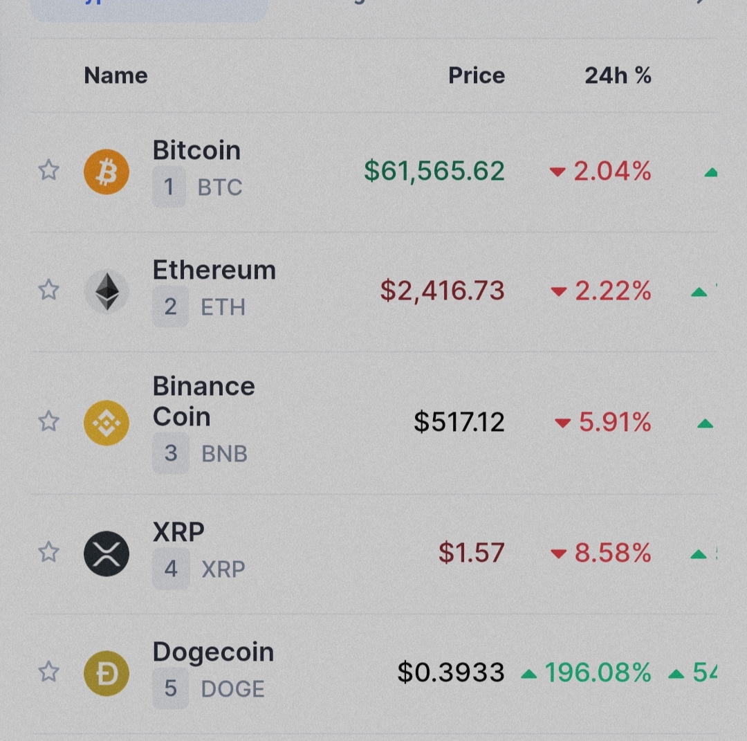 One DOGE to Rule them all