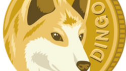 Is Dingocoin Just another Joke?