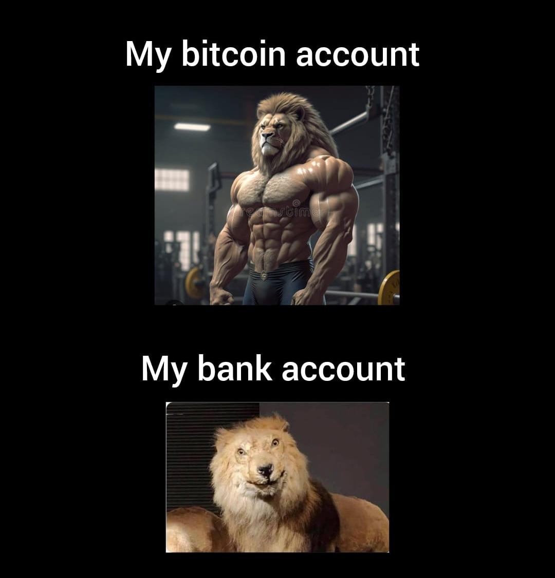 Midnight Dose of Bitcoin Memes, 12/22/23