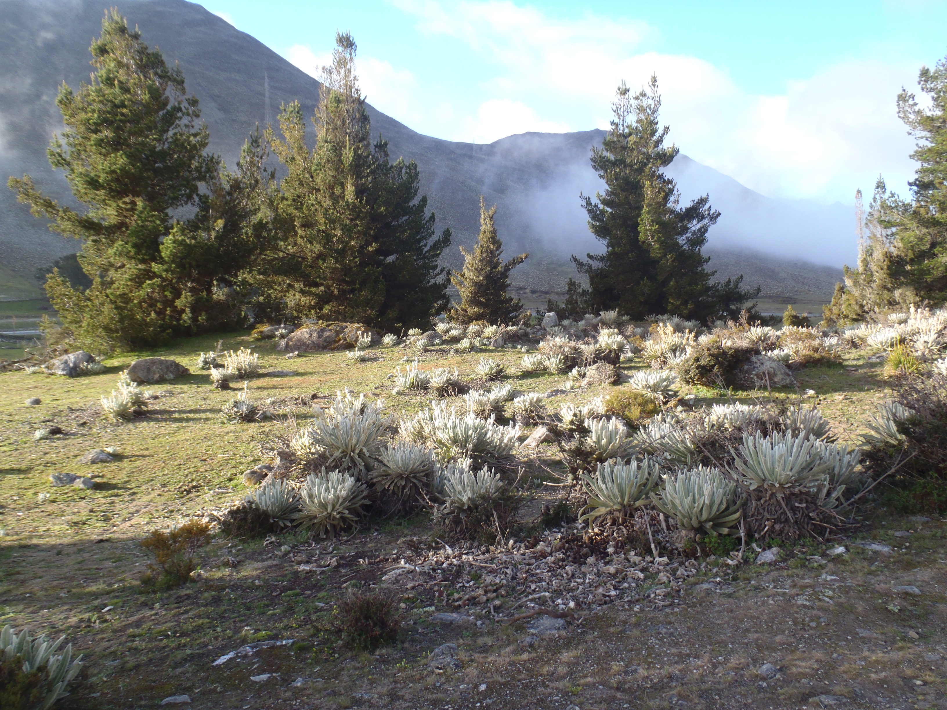 Holidays in Venezuela, Merida the city of mountains, snow and parks.