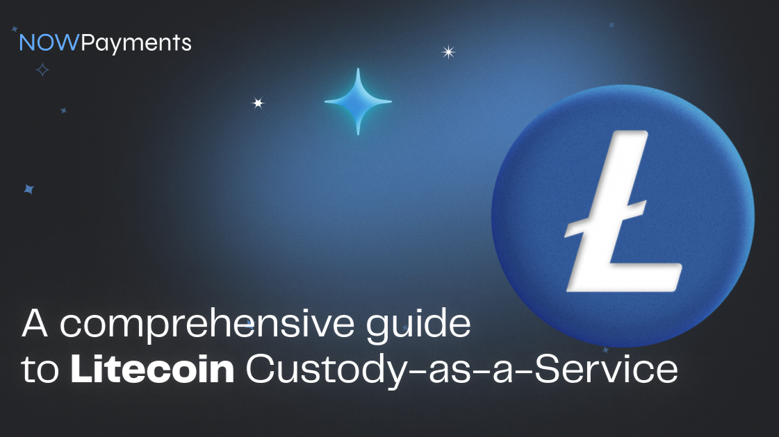 A Comprehensive Guide to Litecoin Custody-as-a-Service