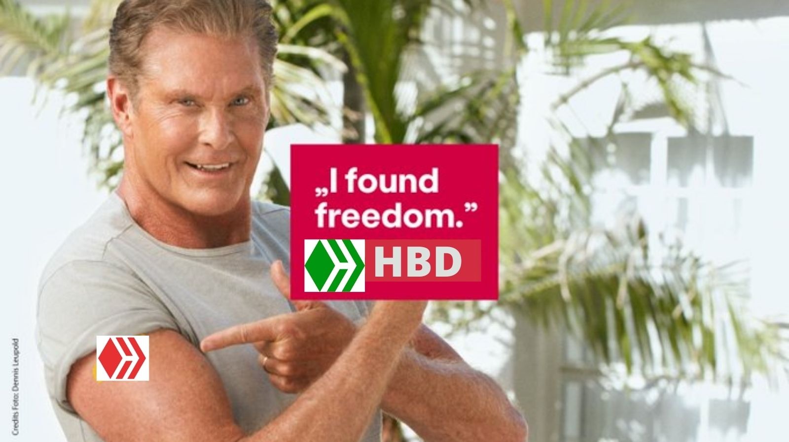 Don't Hassle The Hoff - Spending HBD in Germany