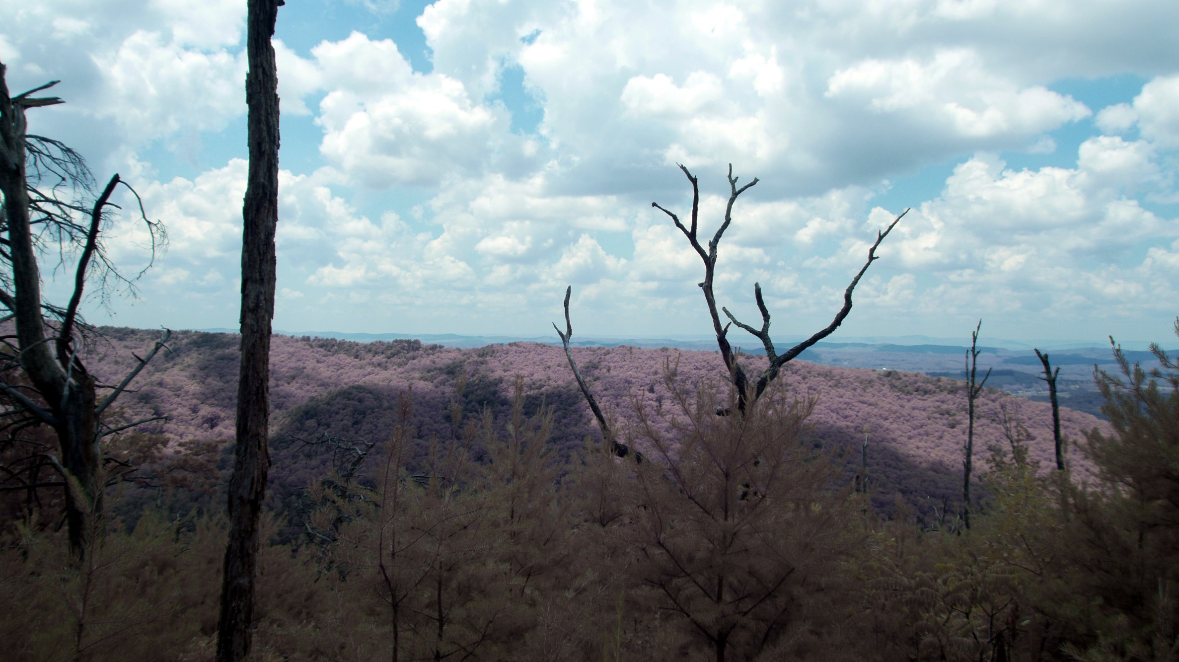 Snake Creek Gap Overlook - Full Spectrum Photography