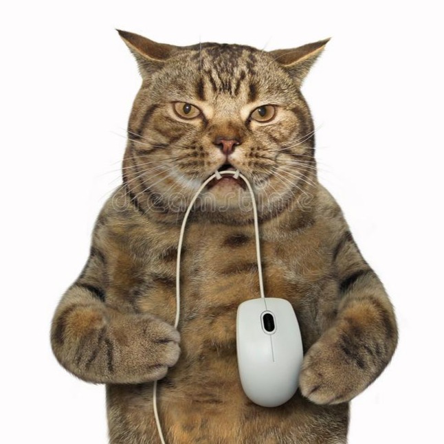 Tech Savy | Publish0x