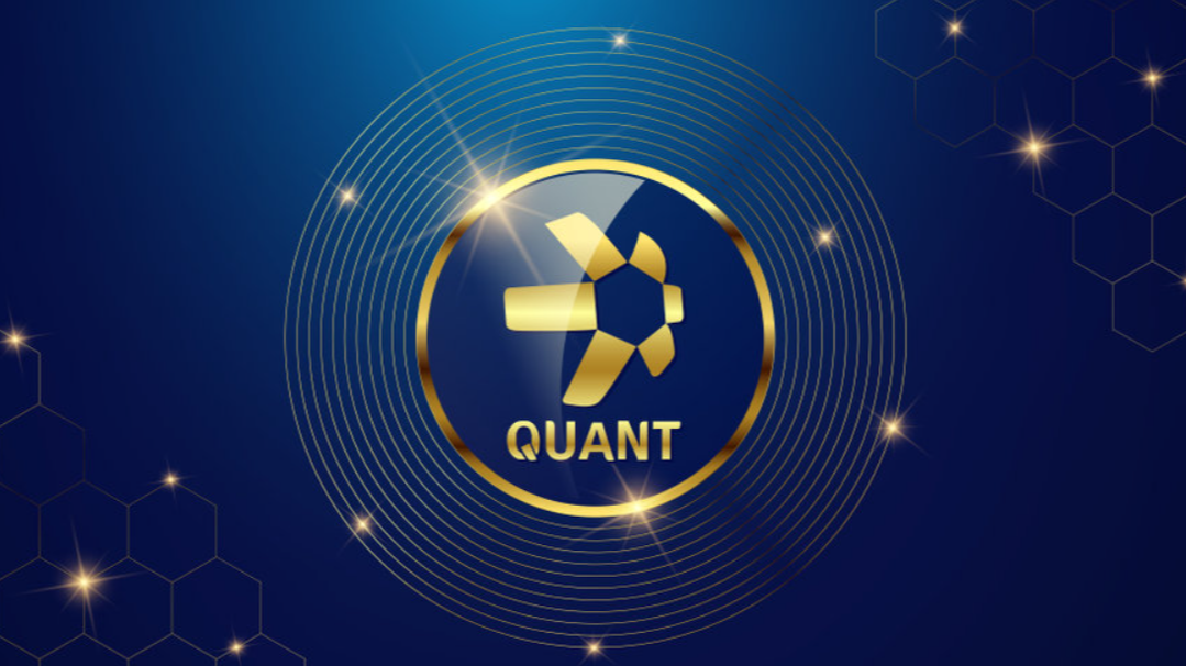 Insight into Quant Network (QNT)