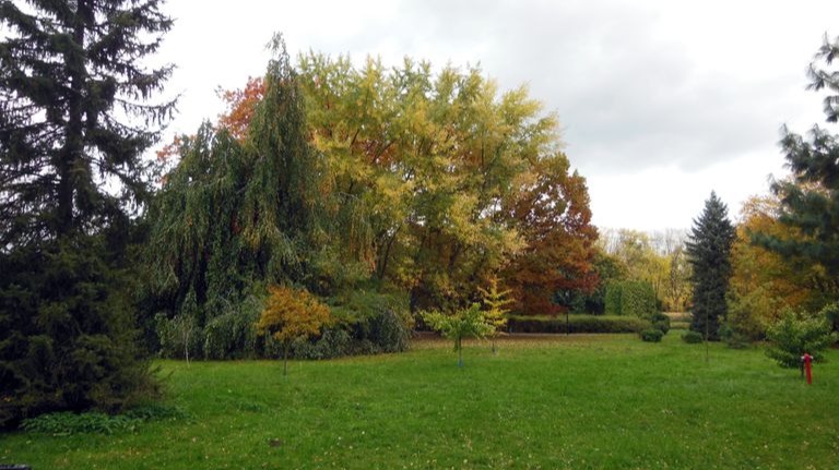 A beautiful October day, lots of sun and warmth around - back on the ...