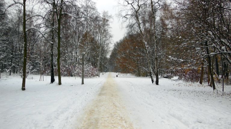 Today there are no colors, gray and dreary, and in the afternoon there ...
