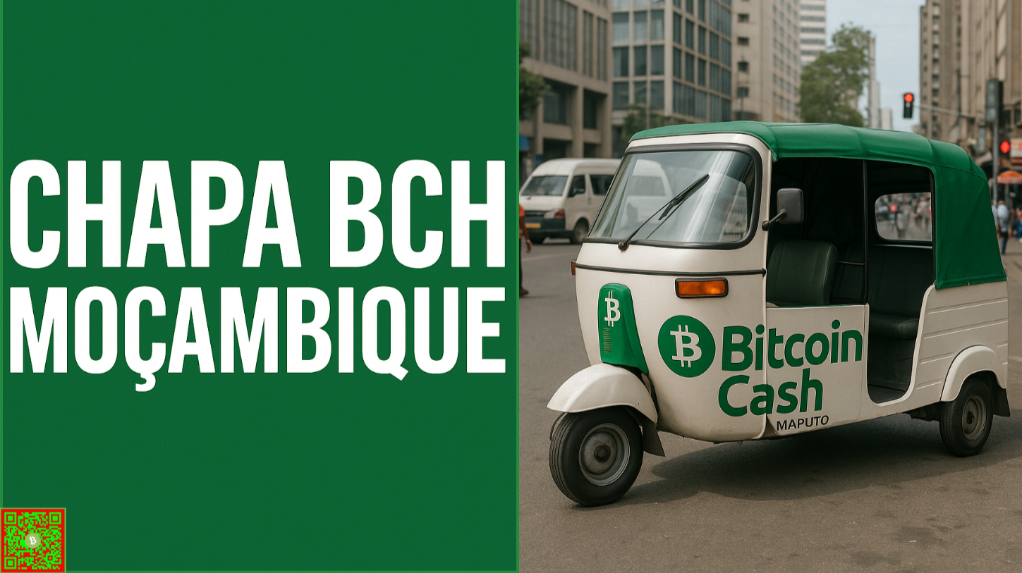 CHAPA BCH Moçambique: A Ride Towards Change and Freedom