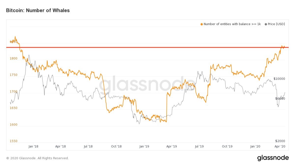 BTC Whales bought the DIP! See the chart! 🤑