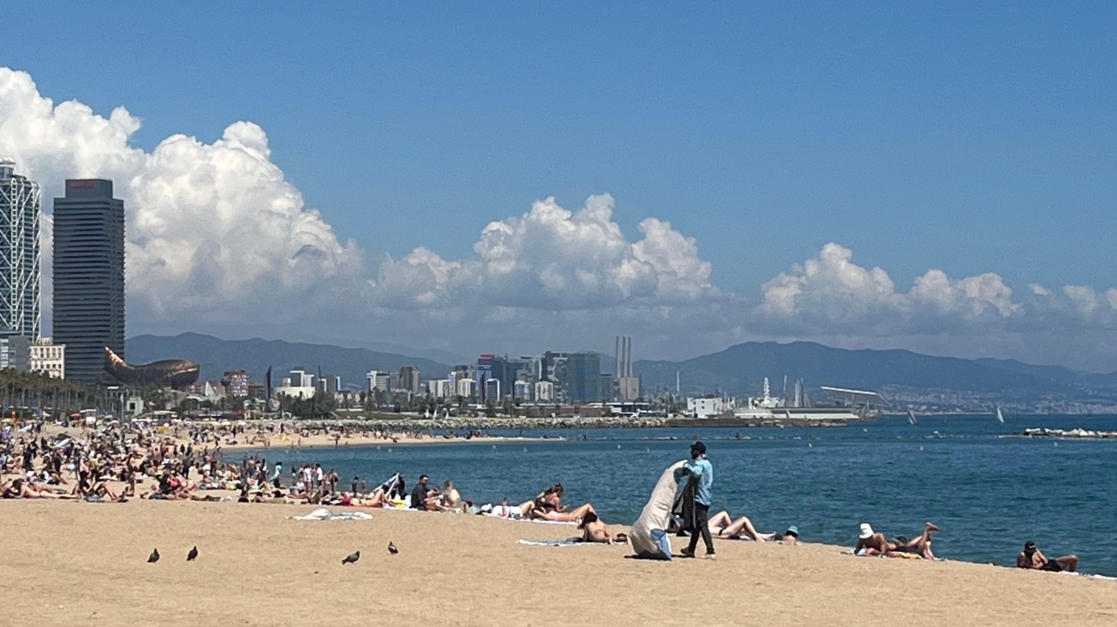 Portfolio April update $3518 of passive crypto income